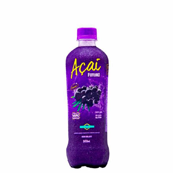 Arquivos Açaí Futuro - Rika Distribuidora
